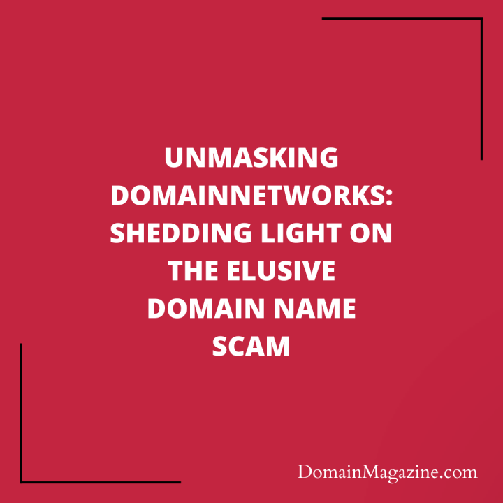 Unmasking DomainNetworks: Shedding Light on the Elusive Domain Name ...